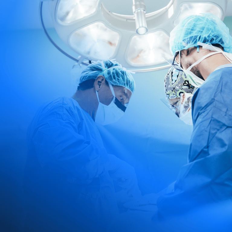 Software Development Case Studies - Seven Peaks Software